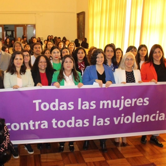 Directora de Género UCSC participó en ceremonia por la erradicación de ...